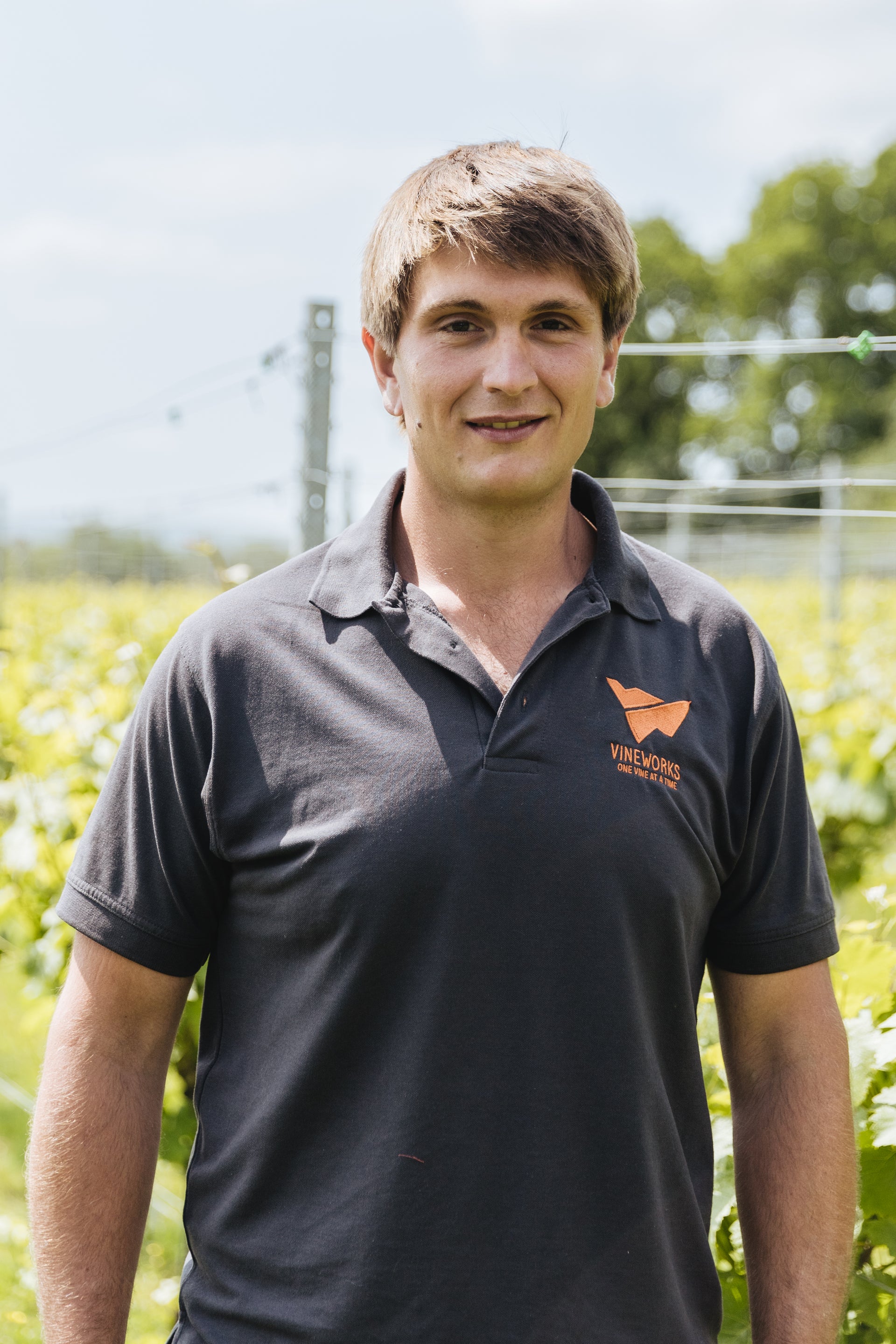 About Us – VineWorks