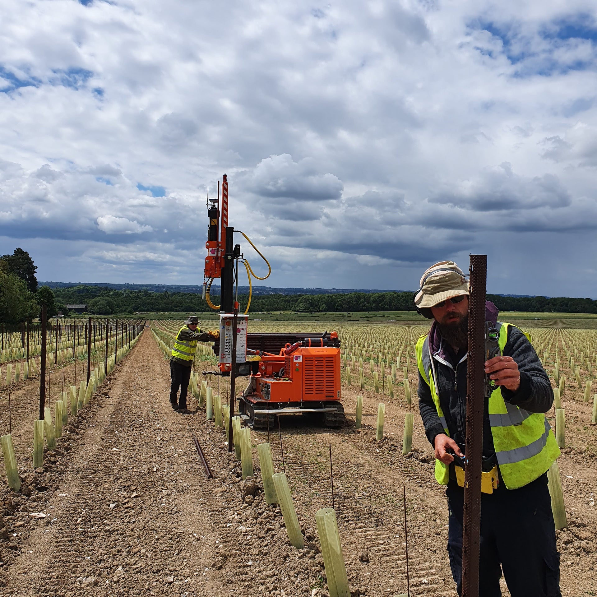 Vineyard Establishment | Starting & Setting Up A Vineyard – VineWorks