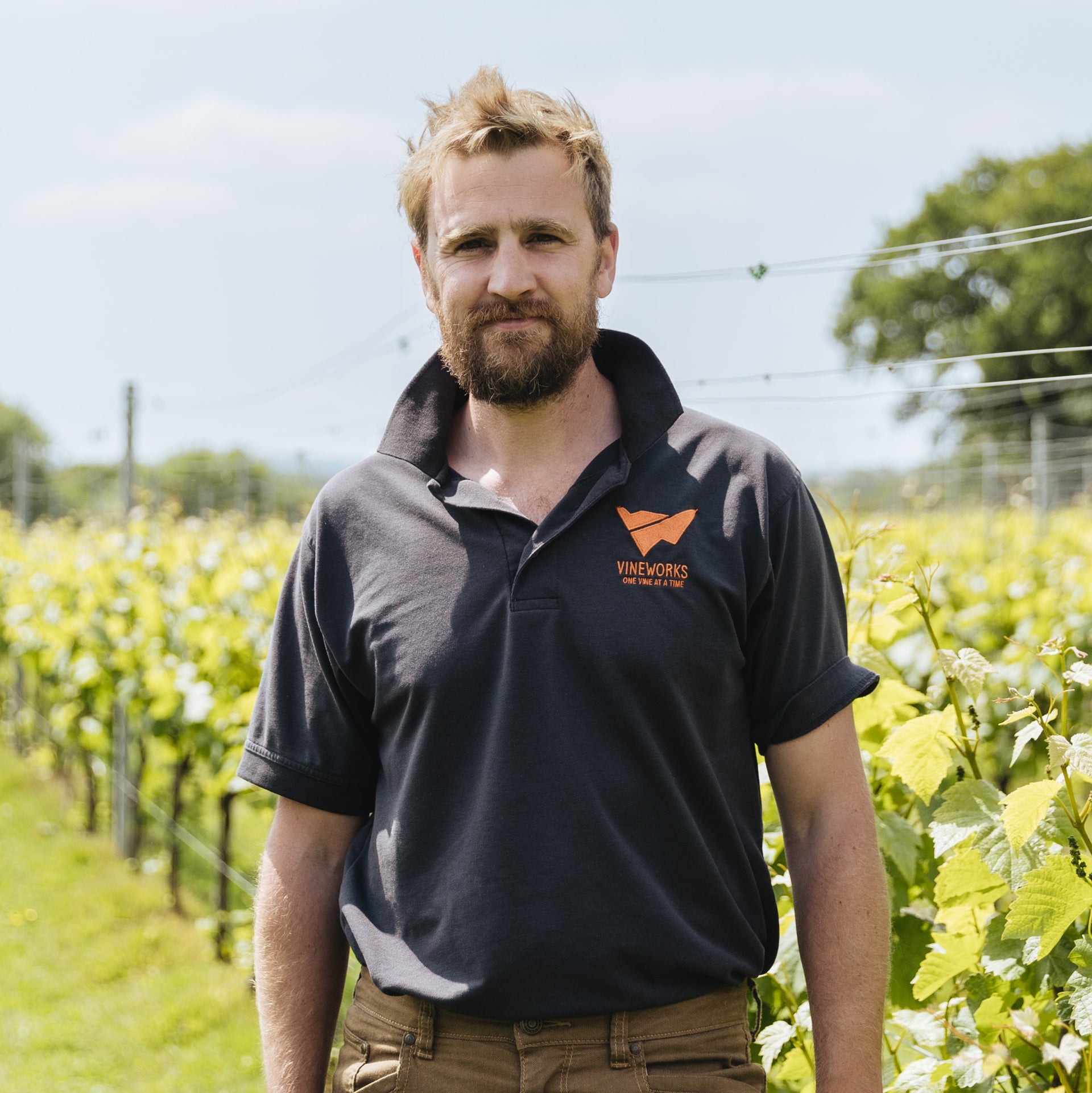 About Us – VineWorks